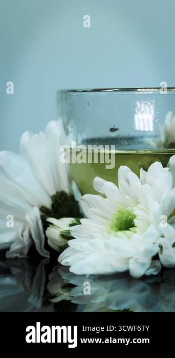 Herbal teacup on table against white background. Rotating glass tea cup ...