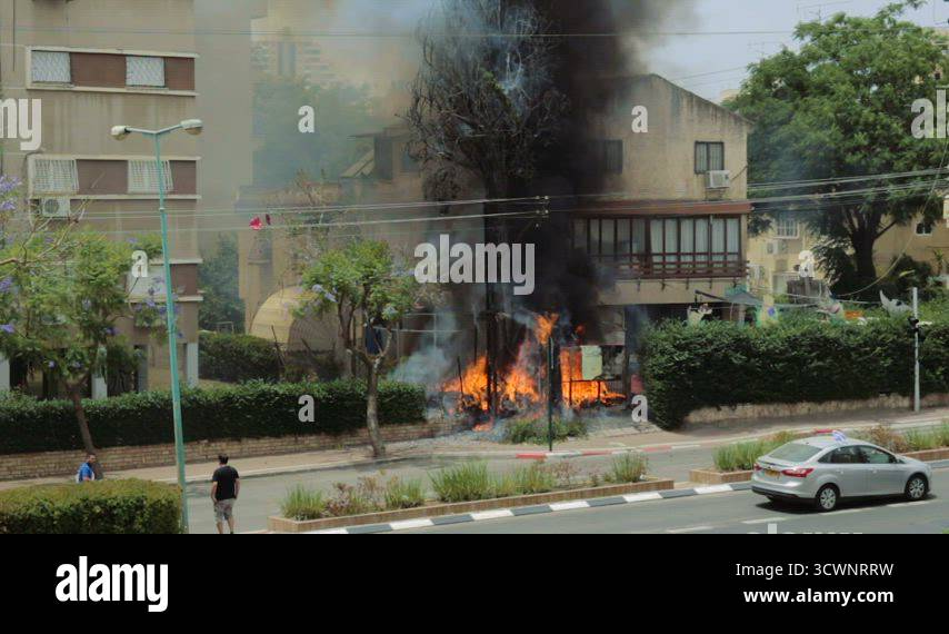 Burning cypress tree in blazing flames at the backyard of a house as a ...