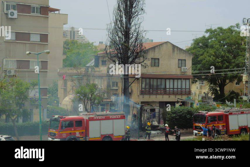 Burning cypress tree in blazing flames at the backyard of a house as a ...