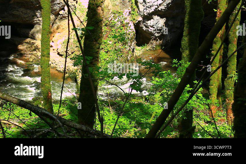 Beautiful river in caves Stock Videos & Footage - HD and 4K Video Clips ...