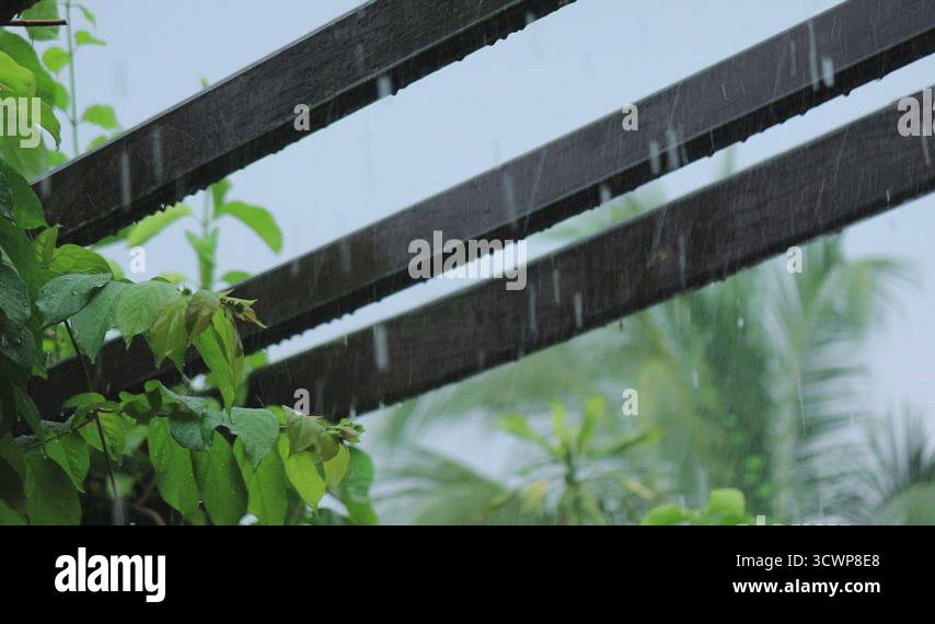 Heavy Rain on Wooden Structure Stock Video Footage - Alamy