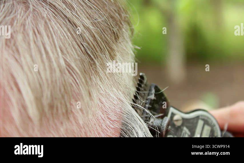Haircut Stock Video Footage - Alamy