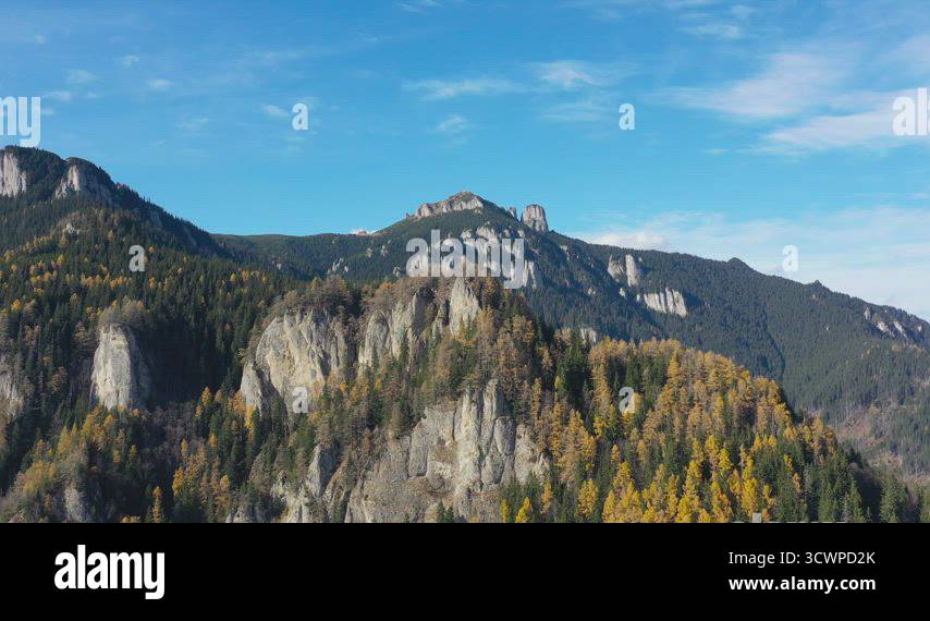 Larch trees evergreen forest in Stock Videos & Footage - HD and 4K ...