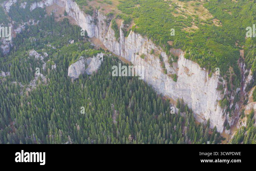 Aerial view of mountain forest (evergreen trees) and alpine meadow in ...