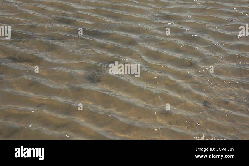 Water movement texture Stock Video Footage - Alamy