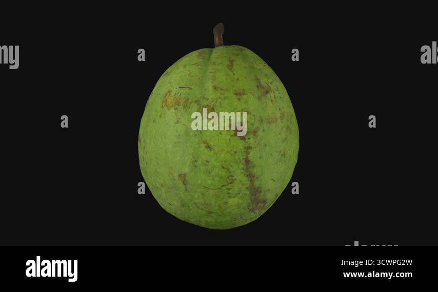 Rotating Guava on Black Background 01 Stock Video Footage - Alamy