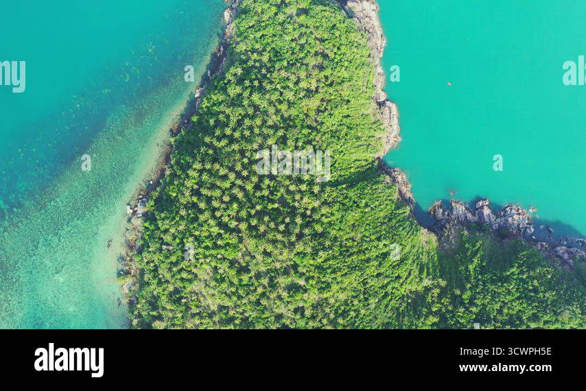 Rocky island cliff sides and mountain forest with palm trees and ...