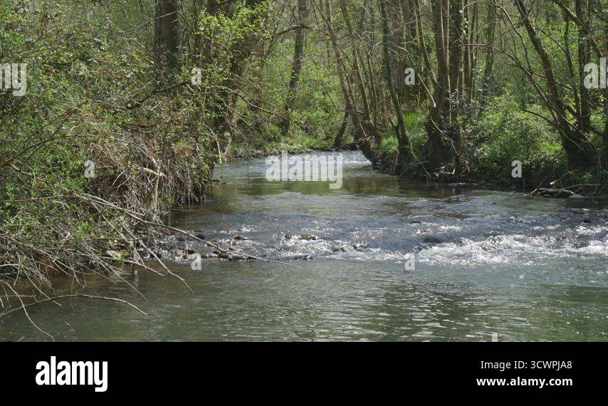 View river in spring Stock Videos & Footage - HD and 4K Video Clips - Alamy