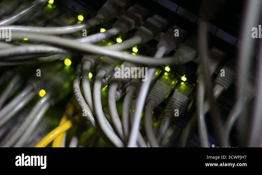 Cables UTP on working Ethernet Server close up Stock Video Footage - Alamy