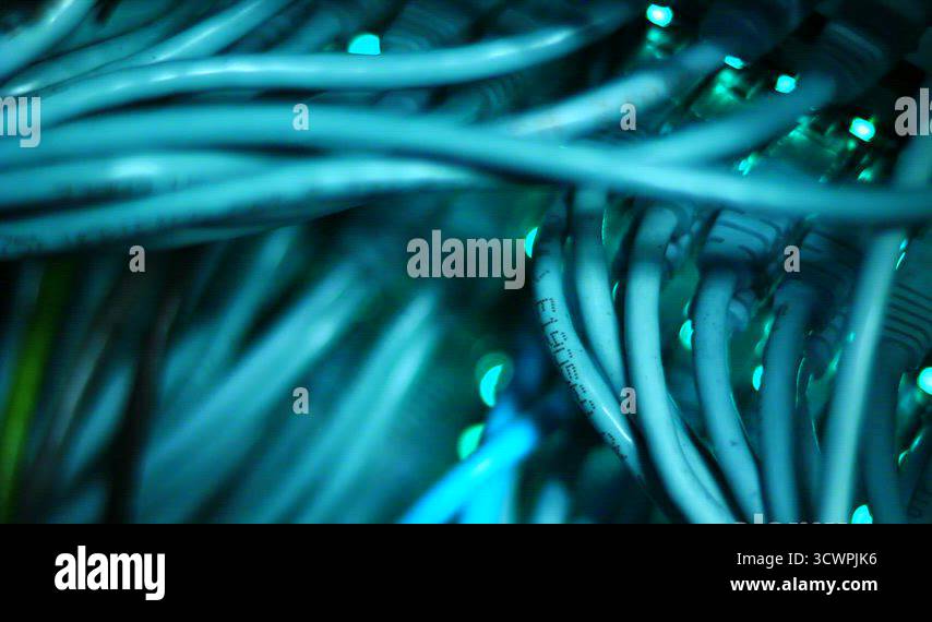 Cables UTP on working Ethernet Server close up Stock Video Footage - Alamy