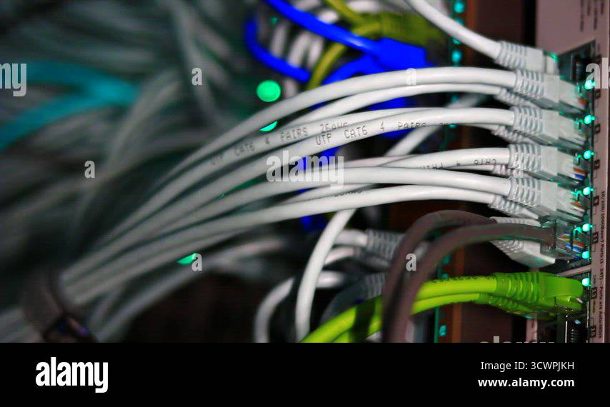 Cables UTP on working Ethernet Server close up Stock Video Footage - Alamy