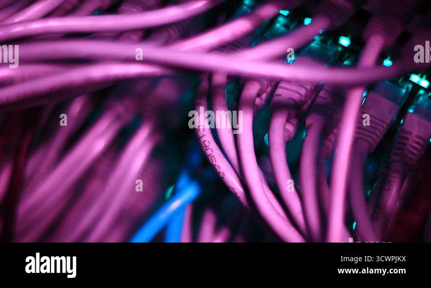 Cables UTP on working Ethernet Server close up Stock Video Footage - Alamy