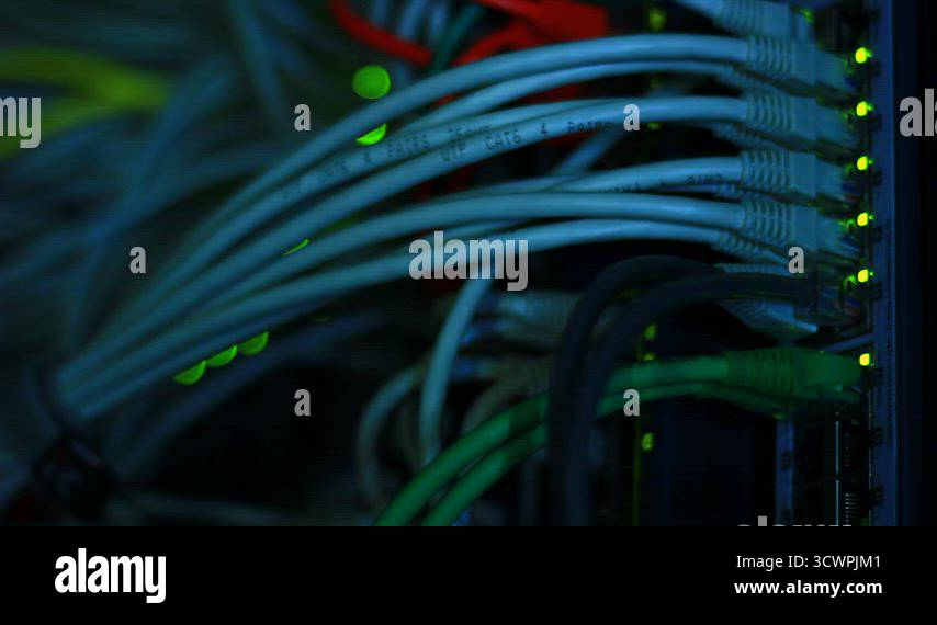 Cables UTP on working Ethernet Server close up Stock Video Footage - Alamy