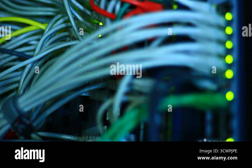 Cables UTP on working Ethernet Server close up Stock Video Footage - Alamy