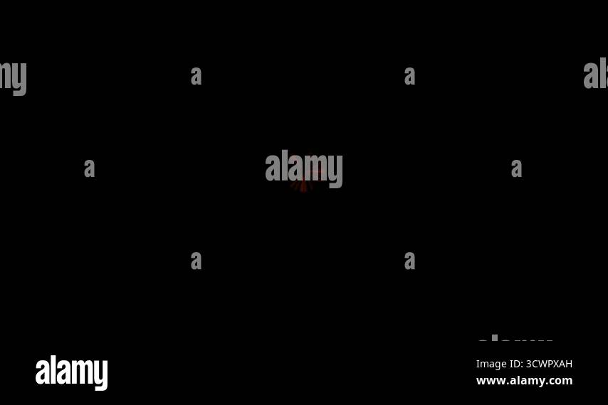 red ray star Stock Video Footage - Alamy