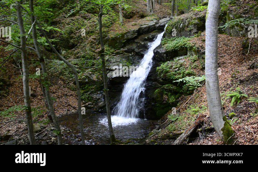 Amazing Waterfall in deep forest, beautiful view on a waterfall ...