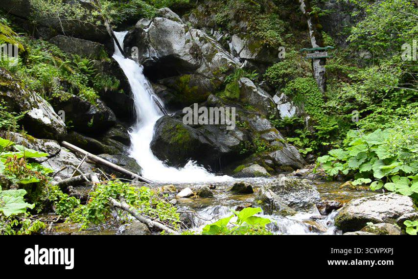 Waterfall in deep forest, Amazing view on a waterfall, Macedonia Stock ...