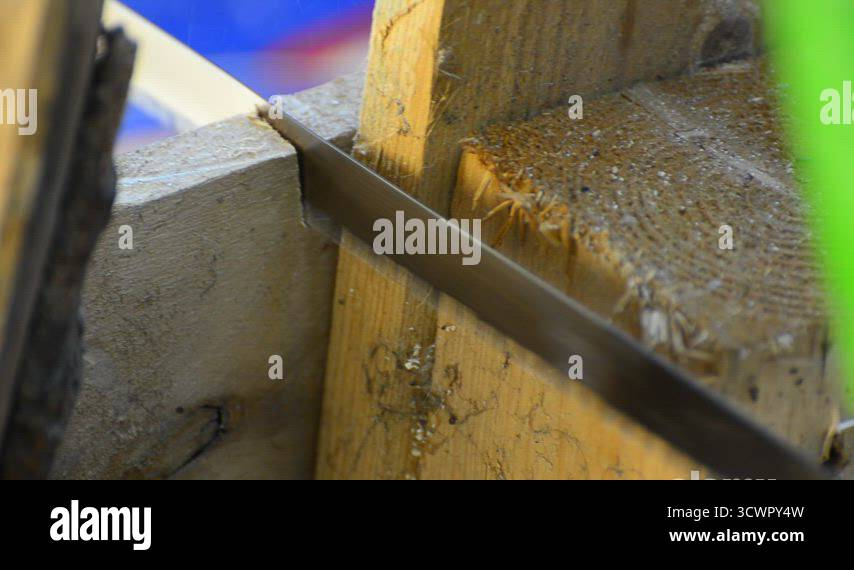 HD: Carpenter Sawing the Wood - Stock Video close up.HD1080p: Close up ...