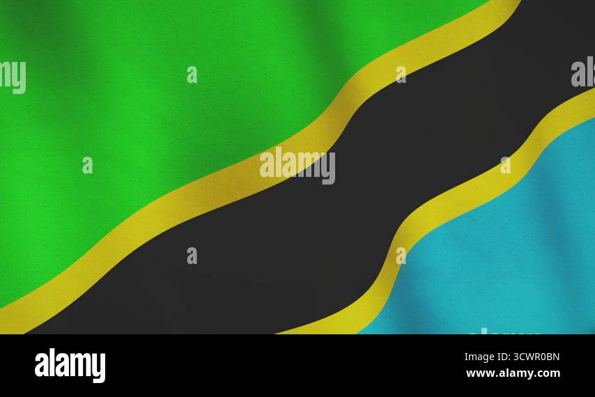 Tanzania waving flag background full screen - seamless loop video ...