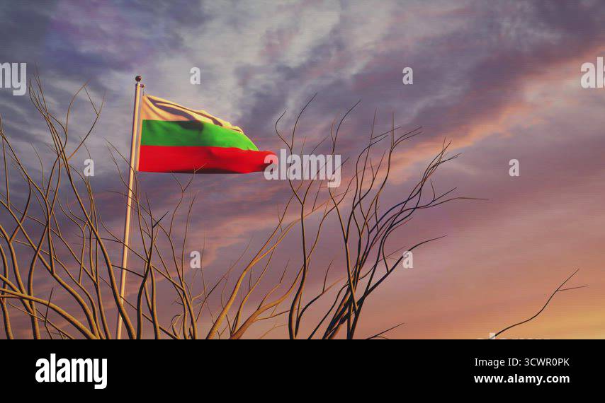 Bulgaria sunrise flag waving dramatic video - video animation Stock ...