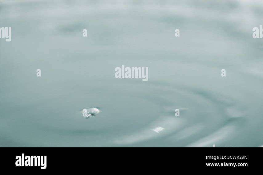 water drops driping in water surface background closeup LOOP. UHD 4K ...