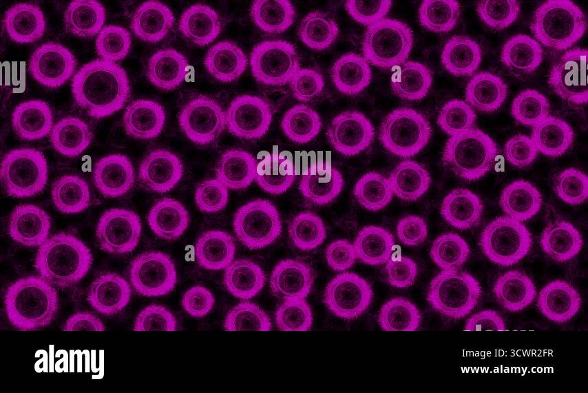 Bacterial under microscope Stock Videos & Footage - HD and 4K Video ...