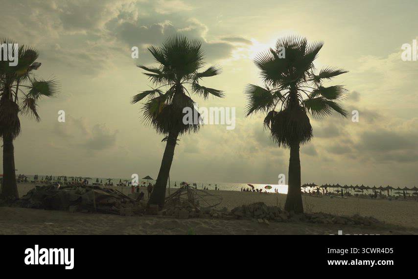 Beautiful tropical beach sunset with palm trees silhouette. Steadycam ...