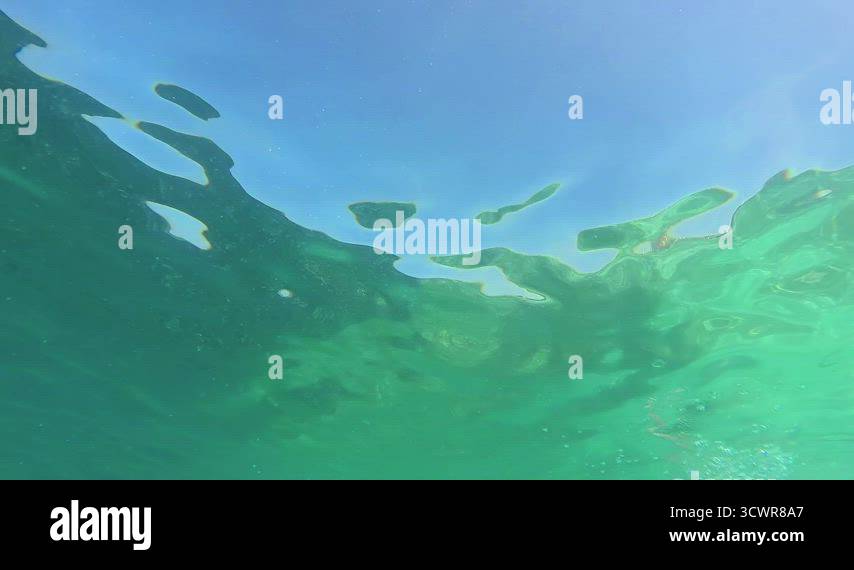 Swimmer man swimming crawl. underwater footage of male swimmer doing ...