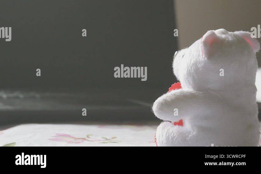 Teddy bear sitting in front of laptop computer device. Still Life ...