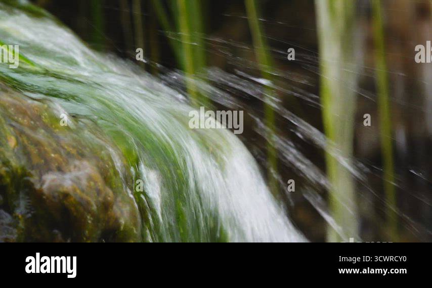 Small waterfall, Enteromorpha, green algae in fast flowing water from a ...
