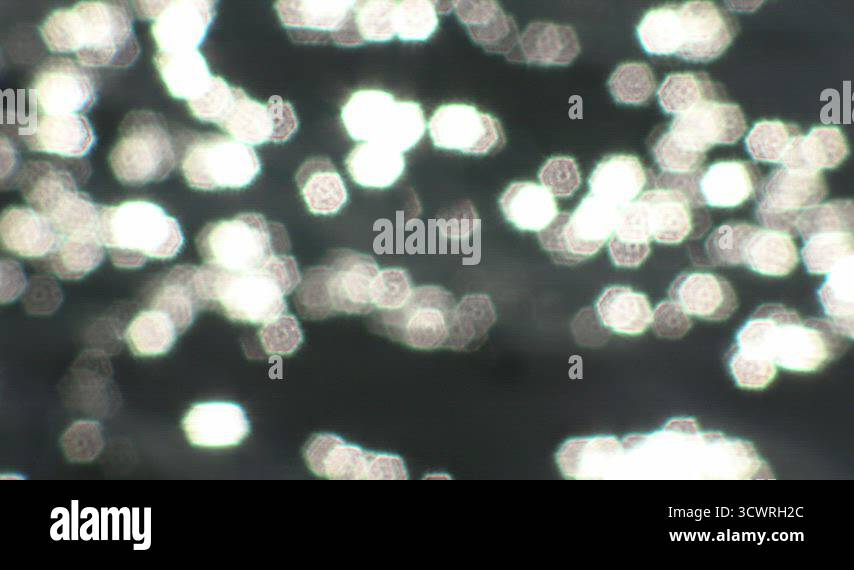 Bokeh sun glare reflected from the water surface in sunny summer day ...