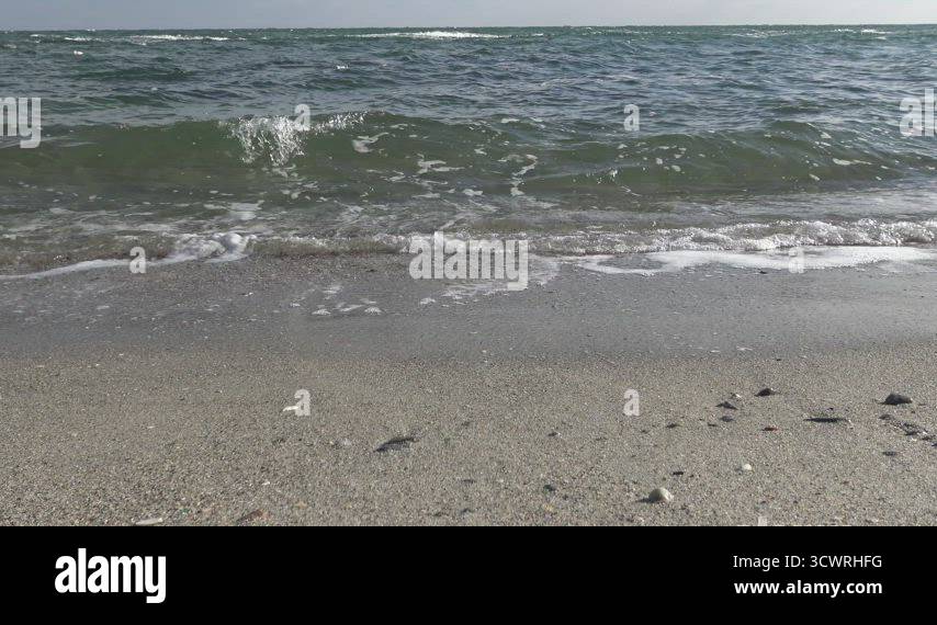 Man Feet Walking Barefoot on Sea Shore. Person walks on the sea shore ...
