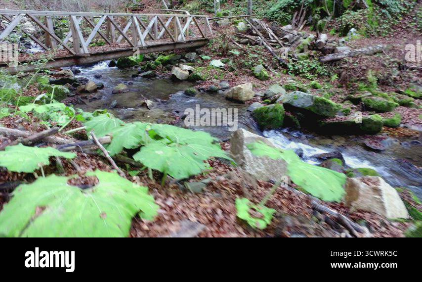 Walking bridge over stream national Stock Videos & Footage - HD and 4K ...