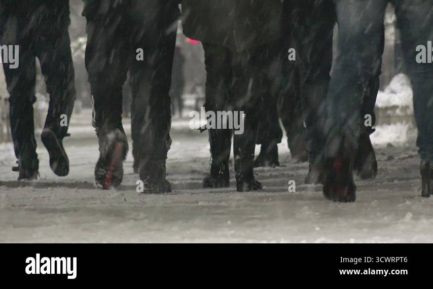 People feet walking on walkway during snow blizzard, winter town scape ...