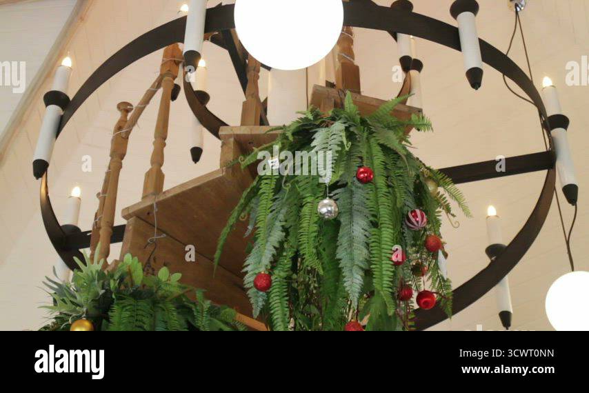 Fern ball Stock Videos & Footage - HD and 4K Video Clips - Alamy