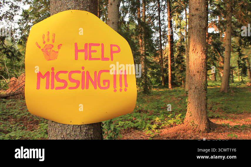 Sign hanging from tree inscription Stock Videos & Footage - HD and 4K ...