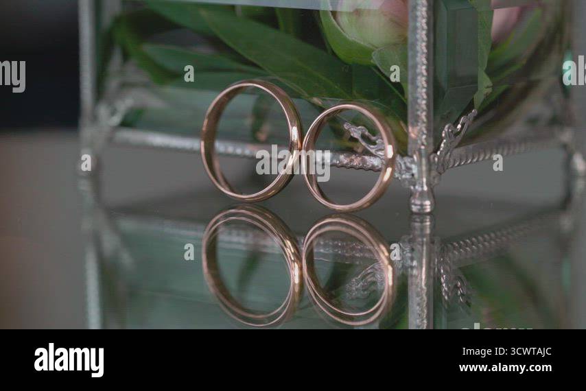 Wedding rings. Pair of marriage symbols. Love of bride and groom ...