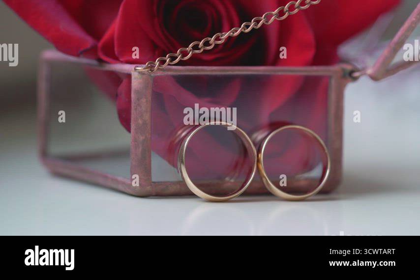 Wedding rings. Pair of marriage symbols. Love of bride and groom ...