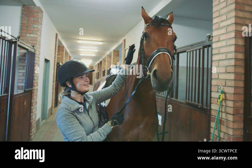 Beautiful horse in stable Stock Videos & Footage - HD and 4K Video ...