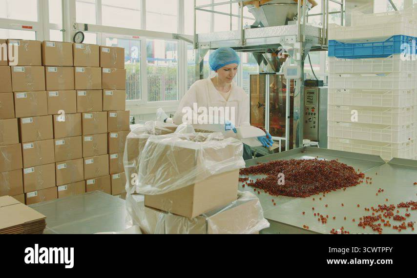Worker packing candies confectionery Stock Videos & Footage - HD and 4K ...