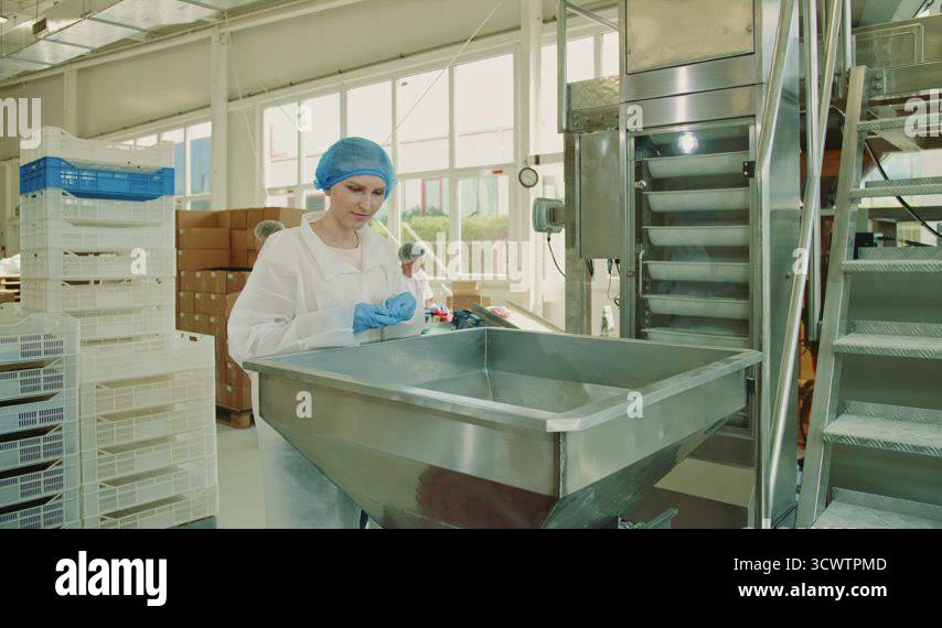 Candy factory factory worker checking Stock Videos & Footage - HD and ...