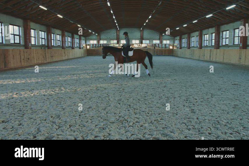 Woman riding horse fast on arena Stock Video Footage - Alamy