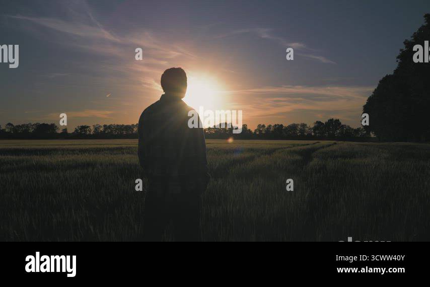 Men stands in the field Stock Video Footage - Alamy