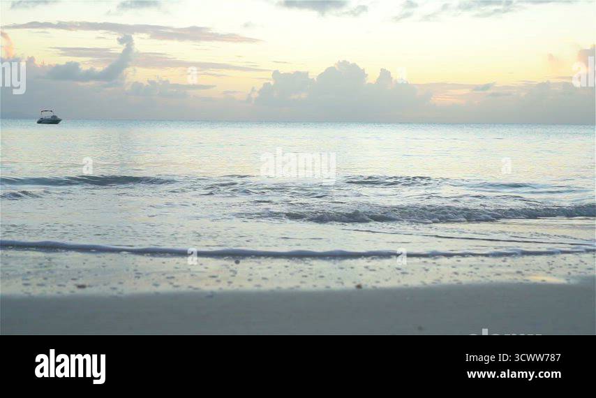 Amazing beautiful sunset on an exotic caribbean beach Stock Video ...