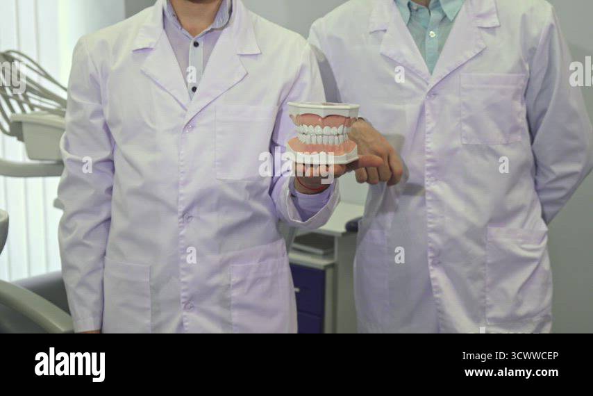 Two dentists demonstrate layout of human teeth Stock Video Footage - Alamy