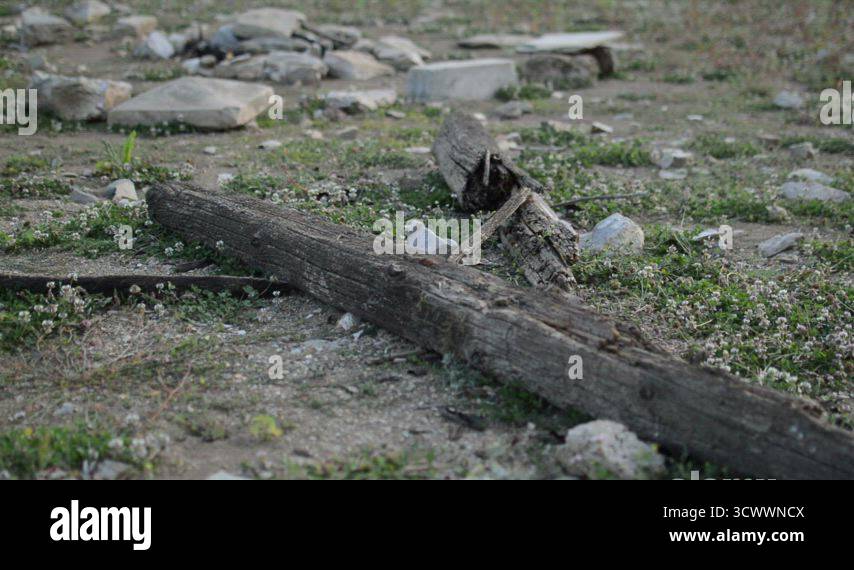 Pillar lake Stock Videos & Footage - HD and 4K Video Clips - Alamy