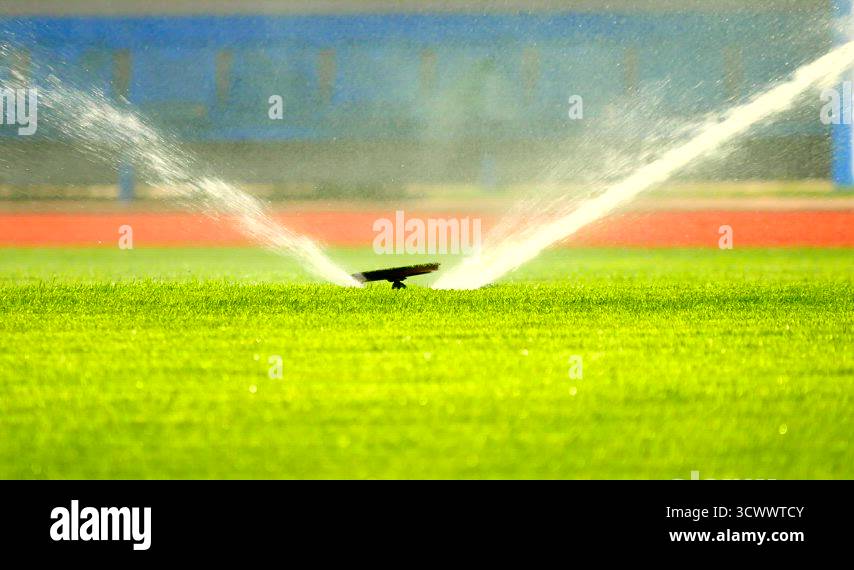 Watering the football field by underground sprinklers. Lawn grass on ...