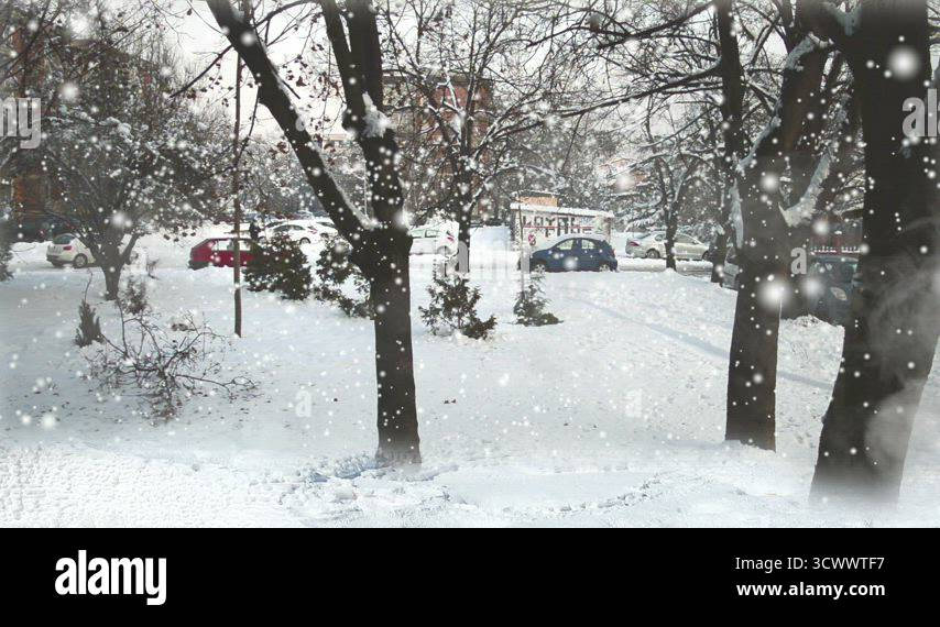 Snowy trees in winter and smog pollution in front Stock Video Footage ...