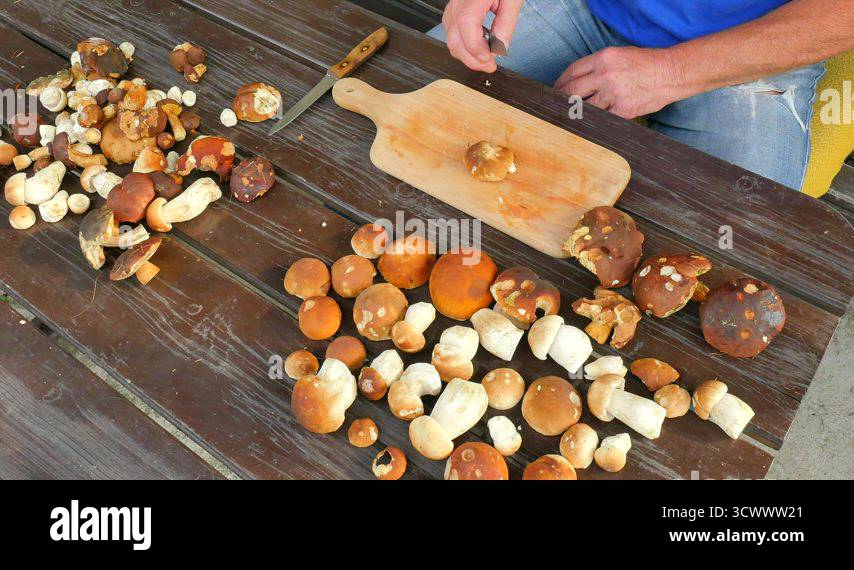 Close up shot of hands with a knife cutting mushrooms. Man hand ...
