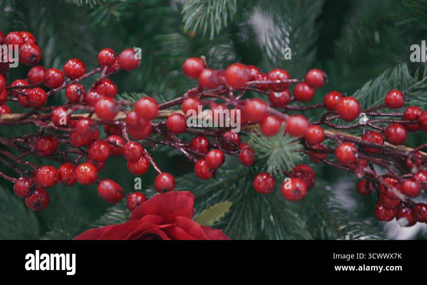 Decorative christmas background berries Stock Videos & Footage - HD and ...